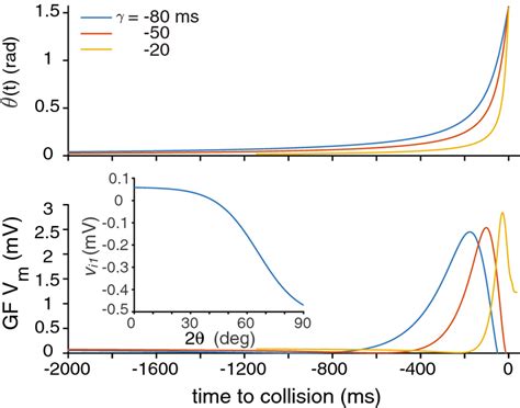 Angular Size Top And Responses Of The GF Model Bottom To The Same Download Scientific