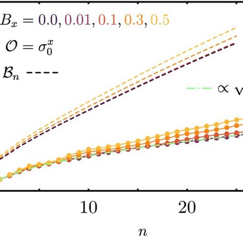 Lanczos Coefficients Bn Of The Transverse Ising Model For A Local Download Scientific Diagram