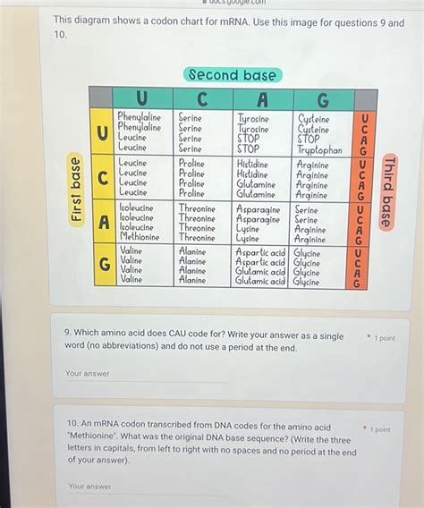 This Diagram Shows A Codon Chart For Mrna Use This Image For Questions 9 And