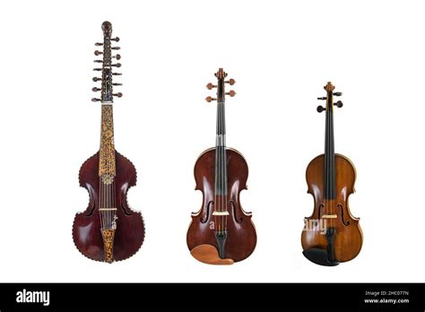 Viola Violin Stringed Instruments At David Sells Blog