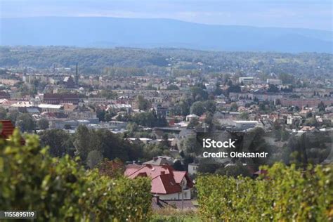 배경에 마을과 녹색 포도원입니다 온대 지역에서 와인 을 만들기 세대 및 농장 토지 과일 주스에서 알코올 생산 전통적인 농업 농업의 지역적 특징 얌힐 카운티에 대한 스톡 사진
