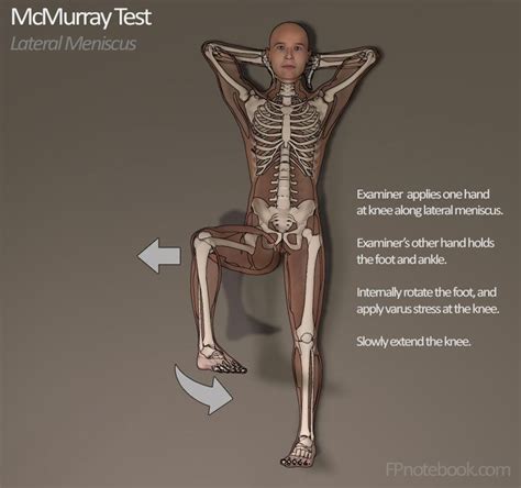 Pin By Brittany Carroll On Orthopedic Tests In 2023 Medical Massage Health Assessment Nursing
