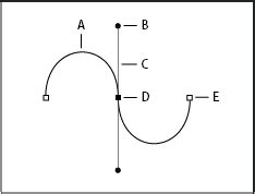 Edit Paths In Adobe Photoshop