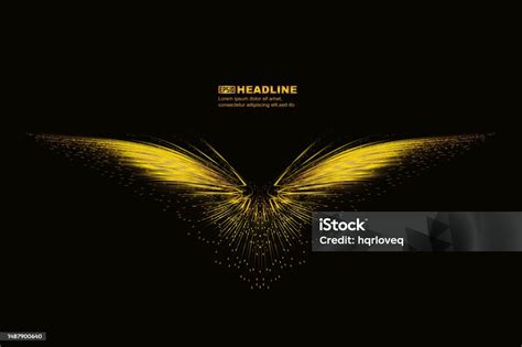 황금색 점선 입자가 수렴하여 검은색 배경에 날개를 형성합니다 개념에 대한 스톡 벡터 아트 및 기타 이미지 개념 고급