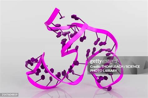 Structure Of An Aptamer Illustration High Res Vector Graphic Getty Images