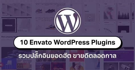 10 Envato WordPress Plugins รวมปลกอนแหงป 2024 Designil
