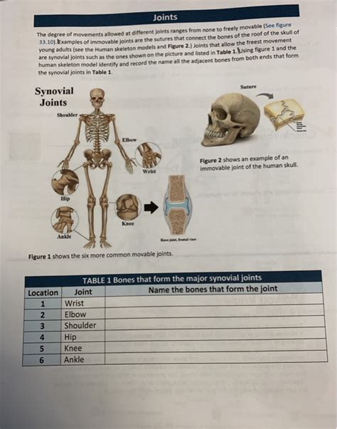 Solved Joints The Degree Of Movements Allowed At Different