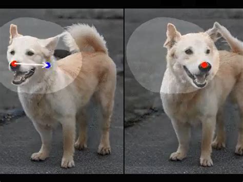 ‘rip Photoshop New Ai Can Alter Any Photo With The Click Of A Mouse
