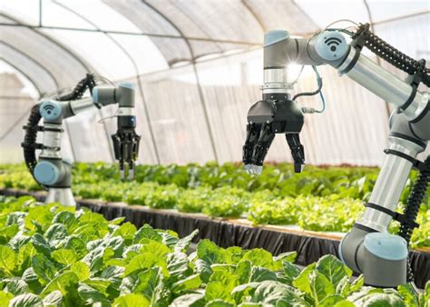 Internet Of Things Iot In Agriculture Farming Of The Future Techtextures