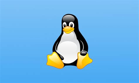 linux mint una alternativa potente a los sistemas operativos