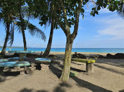 Manzanillo Beach Costa Rica Address Photos Bus Video