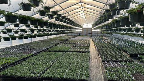 Interior Light Diffusing Screens 1 White Diffuse And 2 Open Unetting™