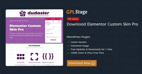 Elementor Custom Skin Pro