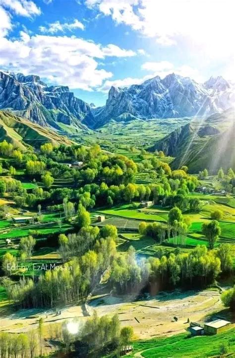 رویا های ناب