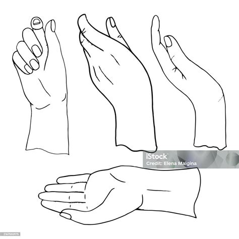 선 손 제스처 간단한 벡터 일러스트 레이 션 세트 미니멀리스트 흑인과 백인 인간의 손 관리 자선 디자인 및 스킨 케어 화장품을위한 잉크 스케치를 들고 손바닥 개념에 대한