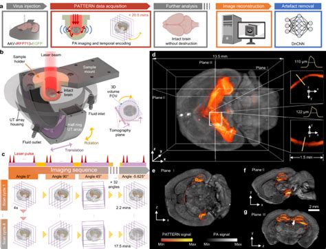 Photoacoustic Tomography With Temporal Encoding Reconstruction Pattern