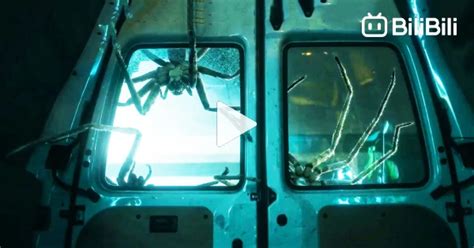 Watch Carefully If You Are Afraid Of Spiders Countless Spiders Are Coming Trailer For The 2024
