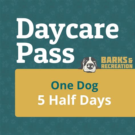 Daycare Pass 1 Dog 5 Half Days Barks And Recreation