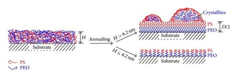 Schematic Side View Of The Peo B Ps Diblock Copolymer With Different Download Scientific