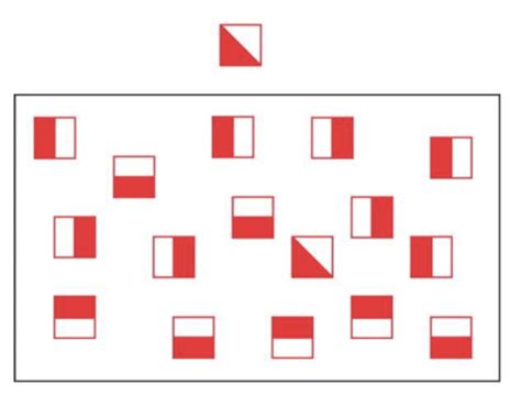 Cognition And Emotion Part 2 Lecture 17 Flashcards Quizlet