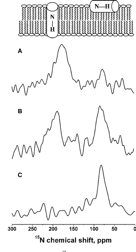Figure 1 From Lipid Controlled Peptide Topology And Interactions In Bilayers Structural