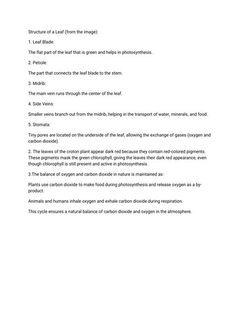 Structure Of A Wps Office Pdf