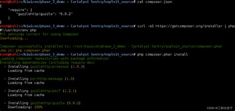 Php反序列化漏洞成因及漏洞挖掘技巧与案例php Installedjson Csdn博客