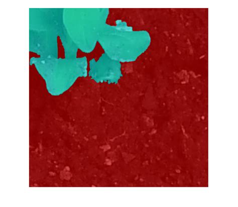 Blockedimagedatastore