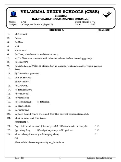 Class Xii Csc Paper Ii Half Yearly Ak Pdf Data Model Information