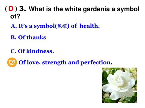 Ppt The Attributive Clause Powerpoint Presentation Free Download