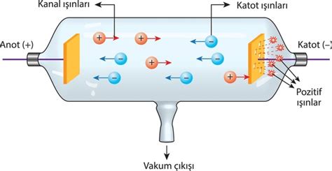 Anode Replacement Over 8 Royalty Free Licensable Stock Illustrations And Drawings Shutterstock
