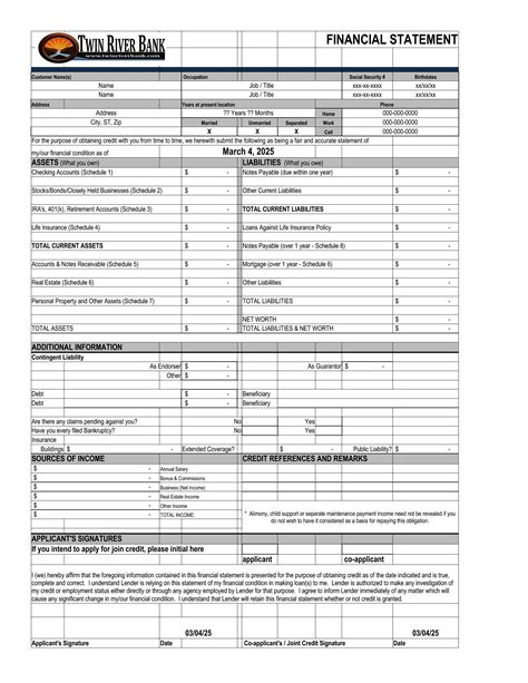Financial Statement Template Spark Premium Template Template Spark