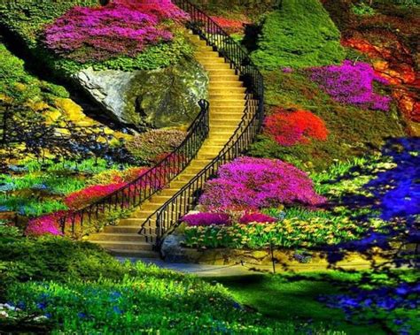 Beau Jardin Fleuri
