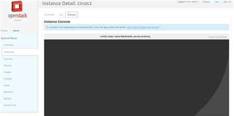 Openstack VNC Is Not Working
