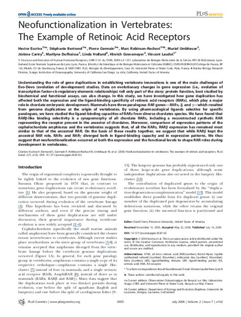 Pdf Neofunctionalization In Vertebrates The Example Of Retinoic Acid