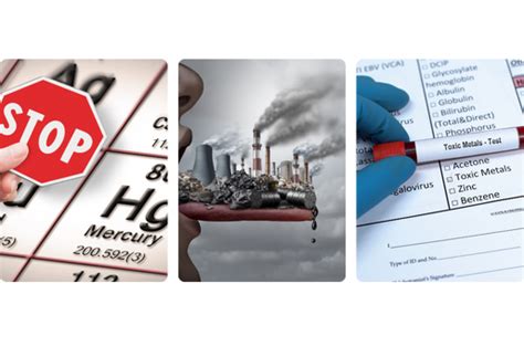 Toxins Heavy Metals Test Smartly Labs Kansas City Overland Park