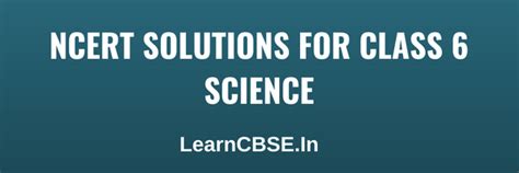 NCERT Solutions For Class Science Curiosity Updated For Exams