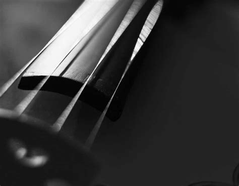 How Many Strings Does A Fiddle Have Explained By A Music Expert Teds List