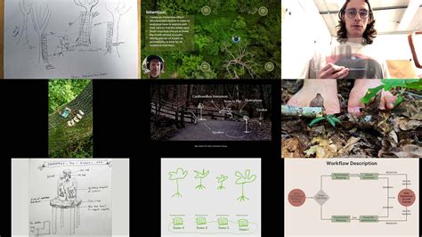 Summer School Online Session 6 Sensing The Forest