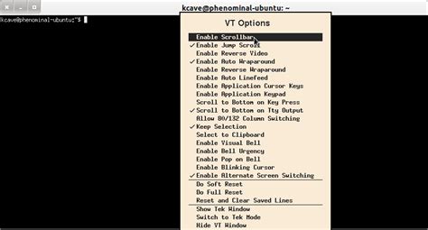 Customize Xterm The Original And Best Terminal Scarygliders
