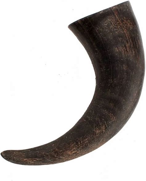 Buffalo Horn At ₹ 150kg Buffalo Horn Tip In Sambhal Id 2853375905173