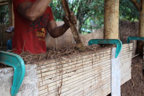 Gallery Of How And Why To Integrate Earth And Bamboo Into An