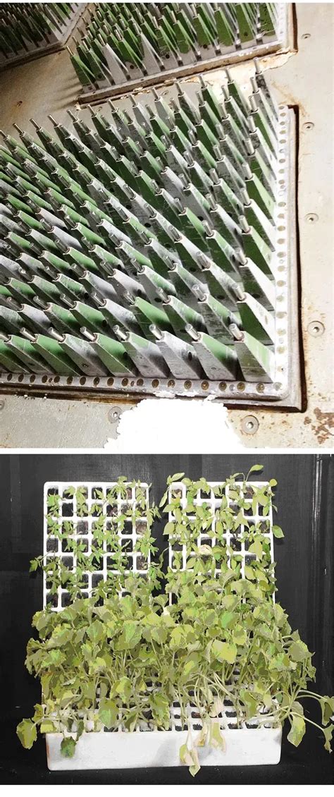 Eps Agricultural Application Agricultural Mold Polystyrene Mold