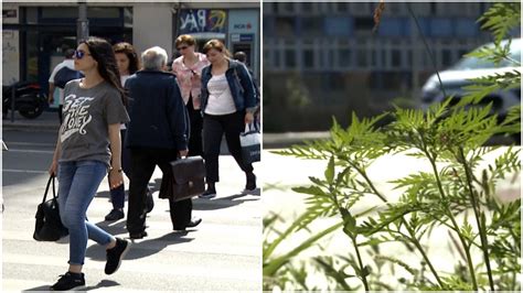 Ajutor Pentru Pacienţii Cu Alergii Grave Unde Se Pot Trata Persoanele Alergice Care Prezintă