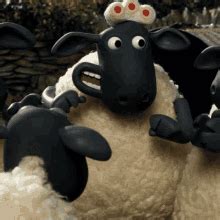 Shaun The Sheep Animated  S Tenor