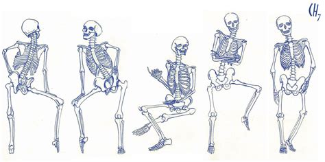 Master Skeleton Poses For Drawing Variations And Techniques
