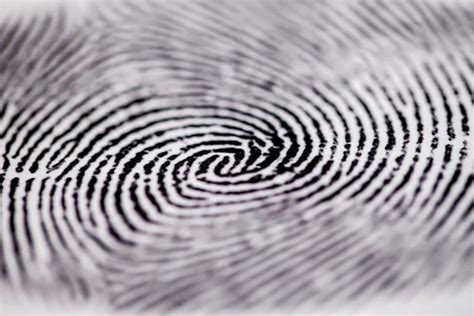 Fingerprint Stock Photo By Derek Hatfielddesign Com