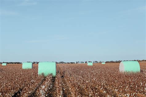 Cotton Module Wrap With Rfid Tags And Sticky Layer Plant And Pick