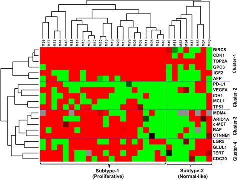 Calculate Z Score Gene Expression At Jesse Lombard Blog