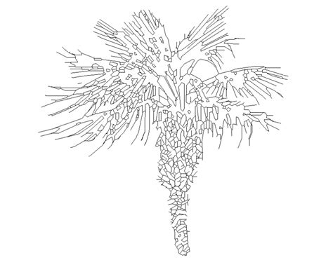 Dynamic Palm Tree Prospectus Front Elevation Cad Block Details Dwg File